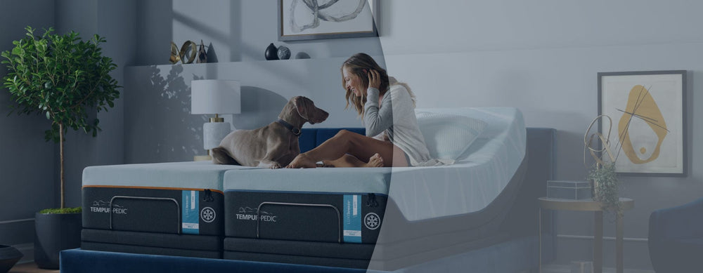 Sleepology | Best Mattress Brands | Best Mattress Price Predictor™